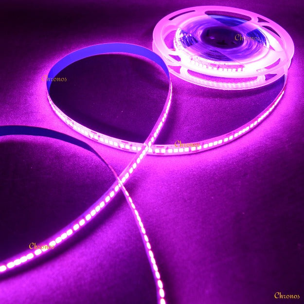 Pink LED Strip 2835-2240 LEDs: High-Quality LED Strips – Chronos Lights